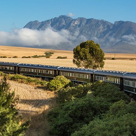 Safari, Garden Route och Rovos Rail | Winberg Travel